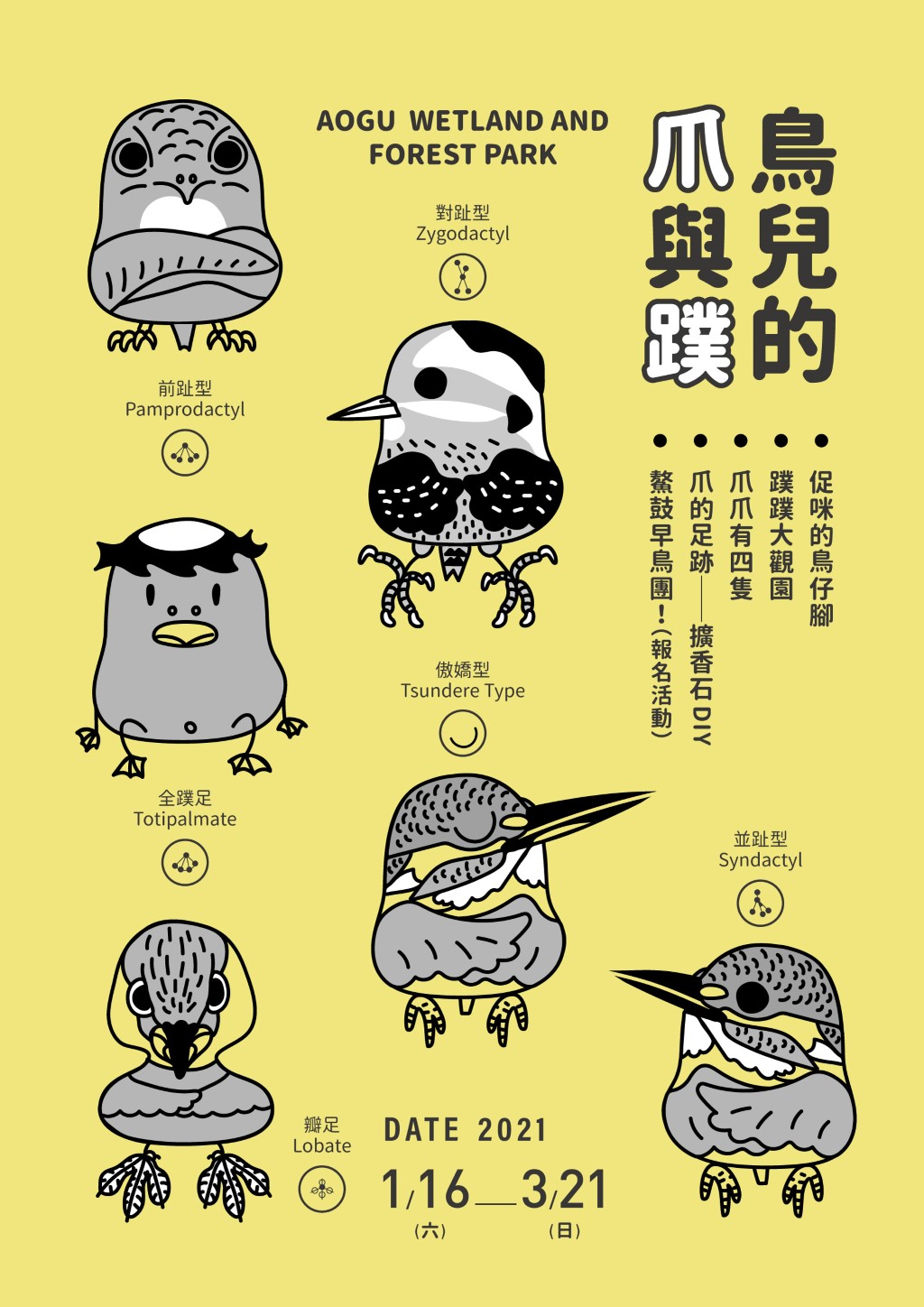 訊息專區 歷史訊息 林業保育新聞 鳥兒的爪與蹼 來鰲鼓探索促咪鳥仔腳