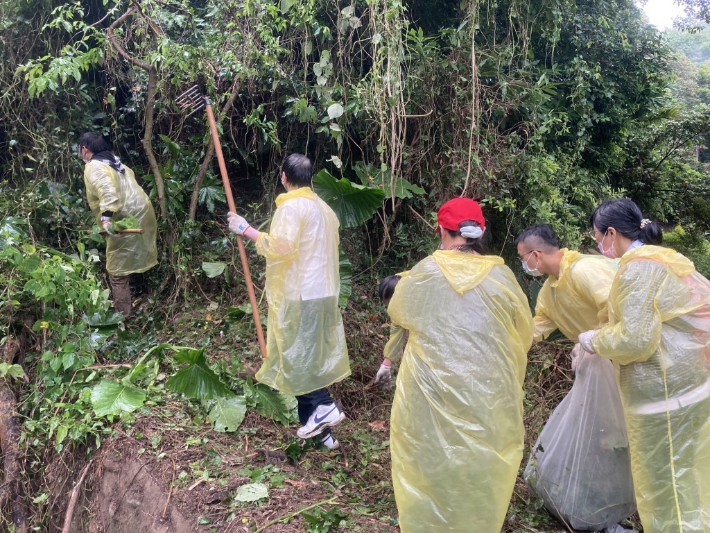 訊息專區 歷史訊息 林業新聞 共下來挷草 新竹林區管理處與社區防除 「森林殺手」小花蔓澤蘭總動員