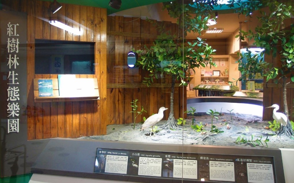 RECREATION - Ecological Education Centers - Mangrove Ecocenter