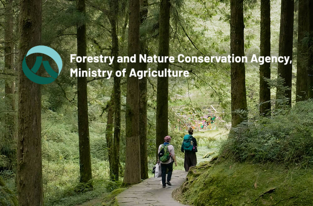 NEWS - News - A New Chapter for Sustainable Forest Management: All ...